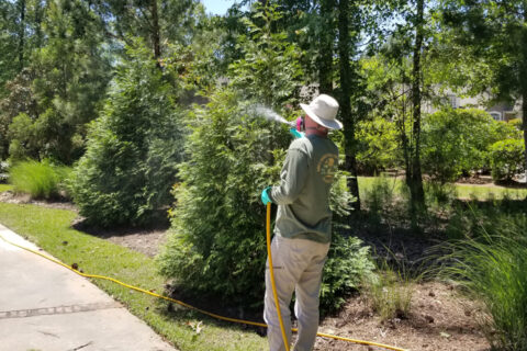 Certified Arborists Serving Columbia SC | Sox & Freeman